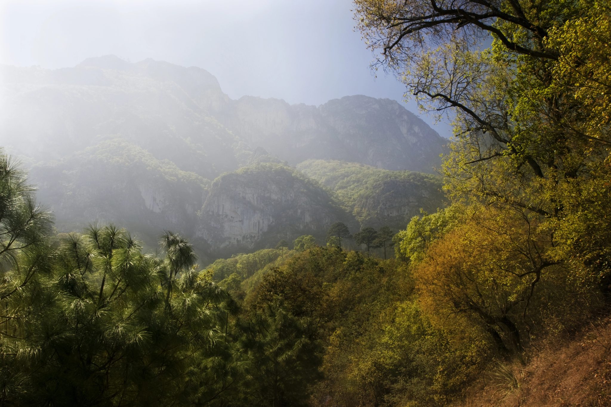 Monterrey : Un Voyage entre Tradition et Modernité - Informations sur ...